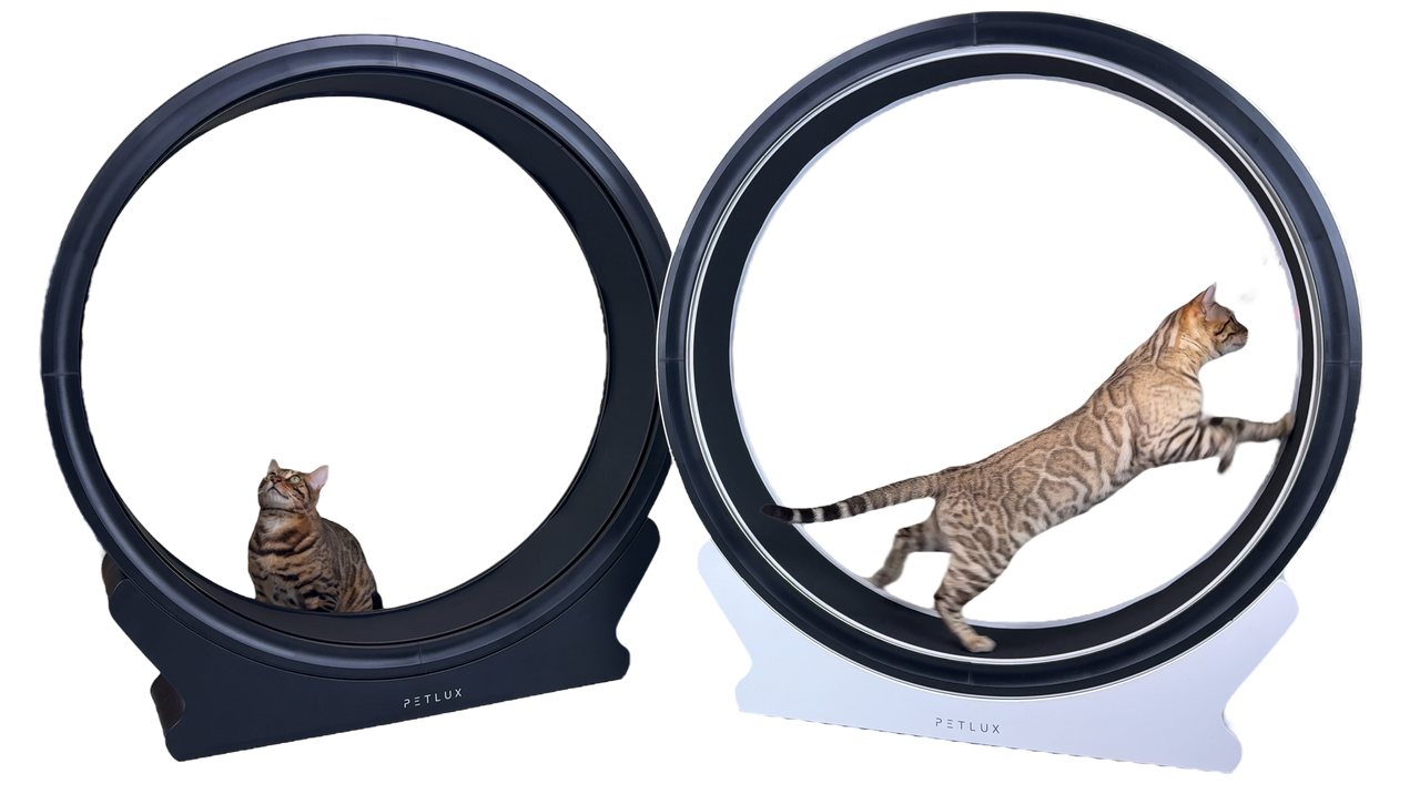 Loopwiel V2 – PETLUX